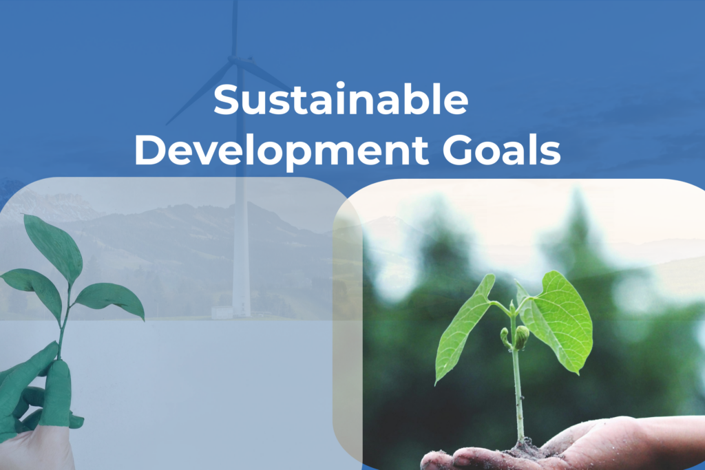 Understanding the Three Pillars of Development Goals - The Art of Process